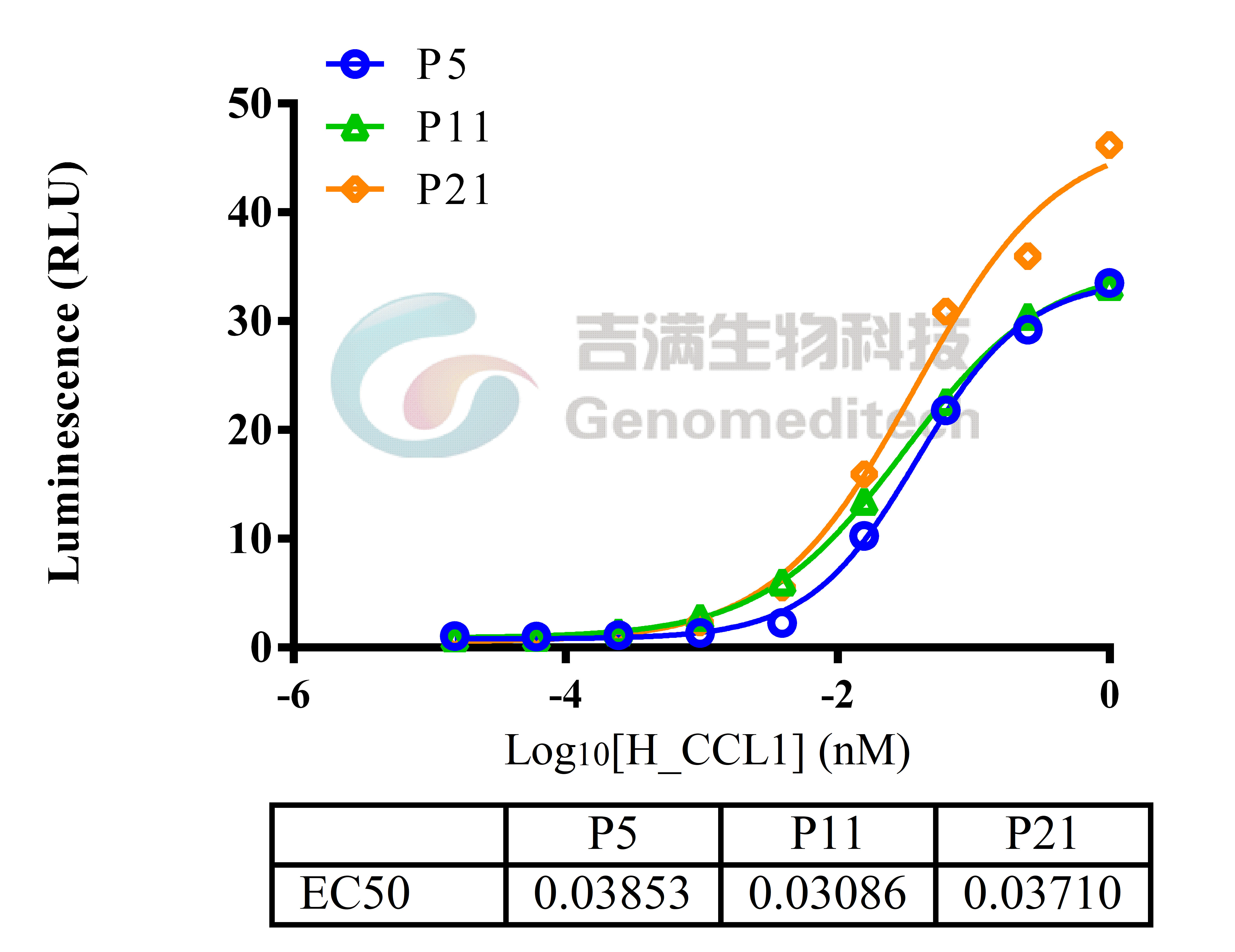 Tango-H_CCR8 CHO-K1 Cell Line