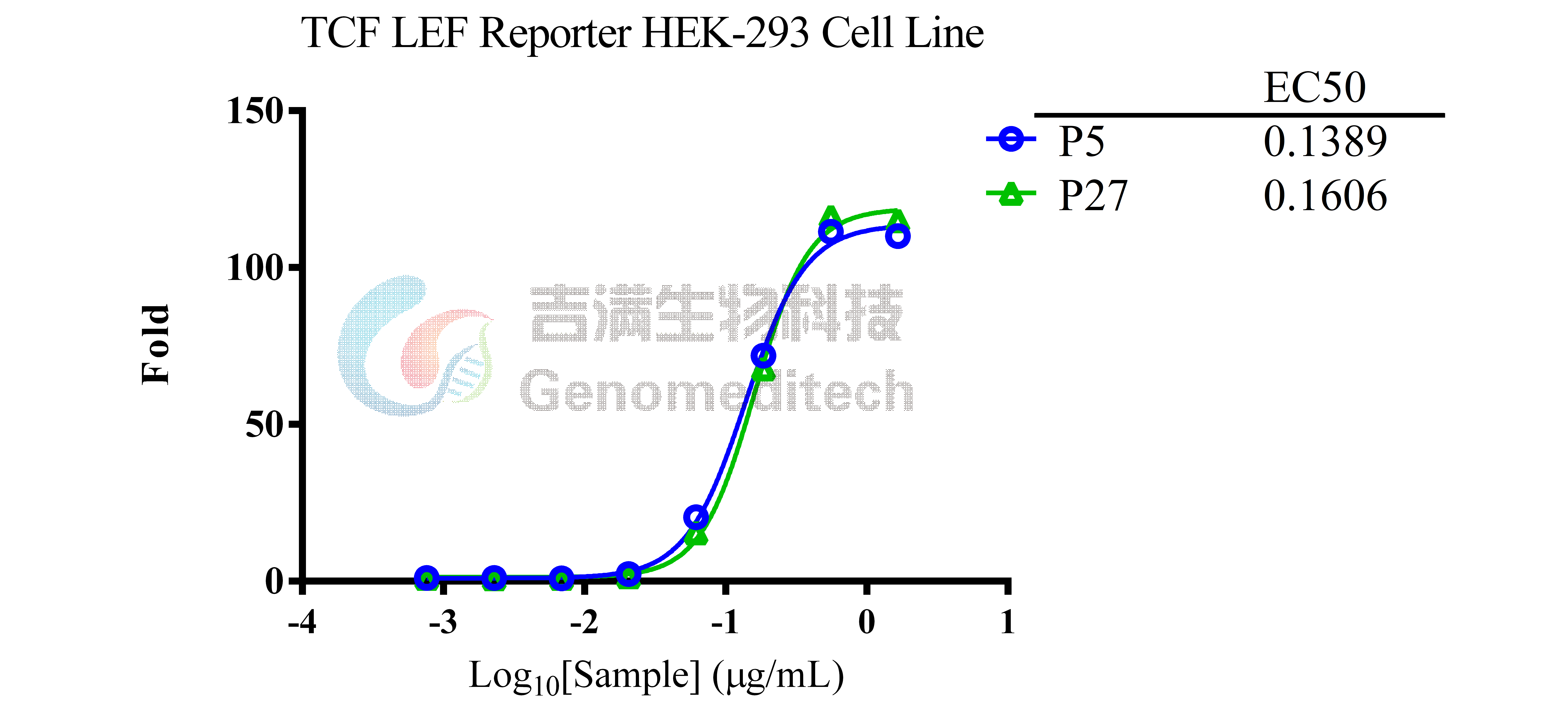 TCF LEF Reporter HEK-293 Cell Line
