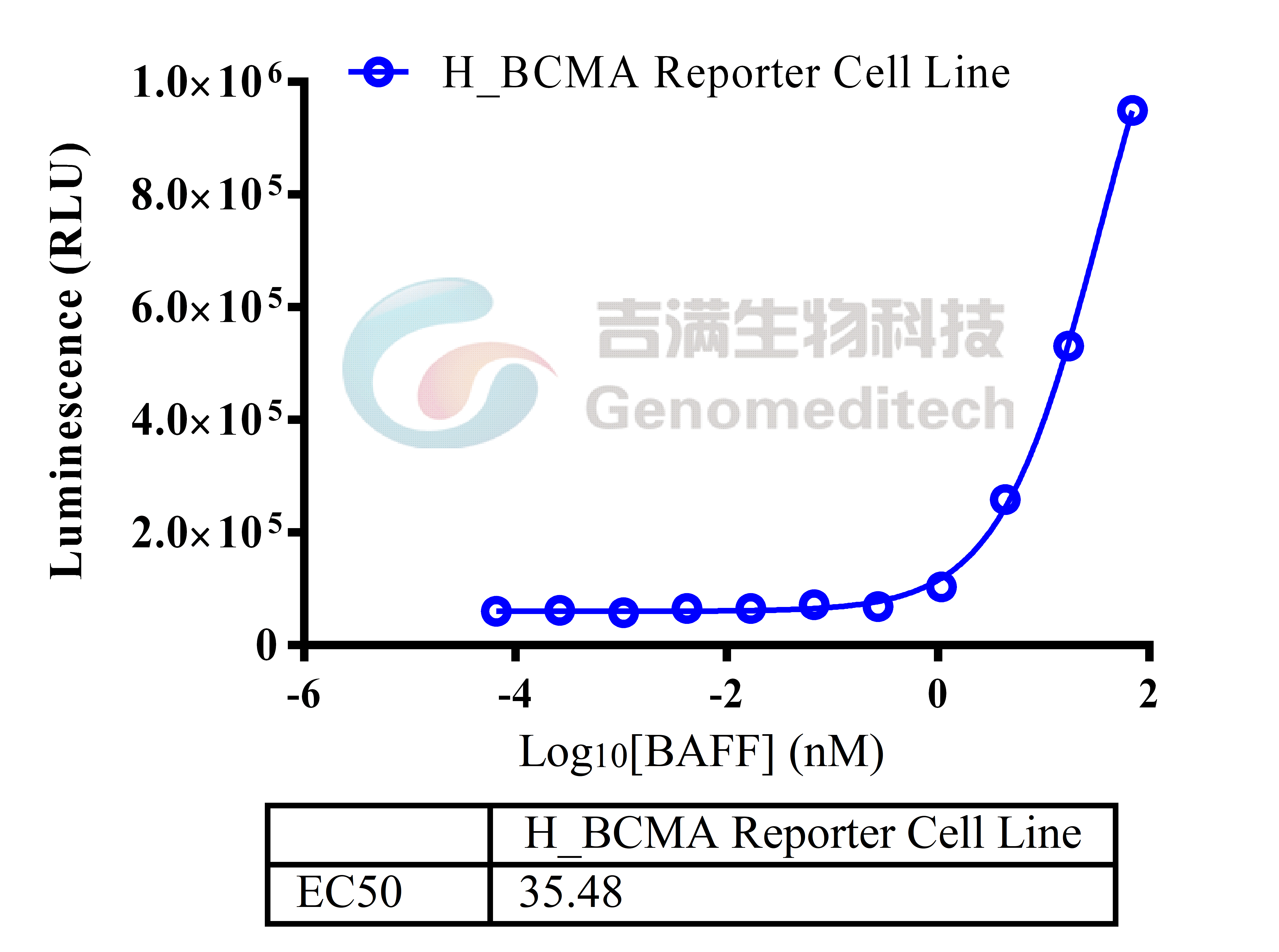 H_BCMA Reporter Cell Line