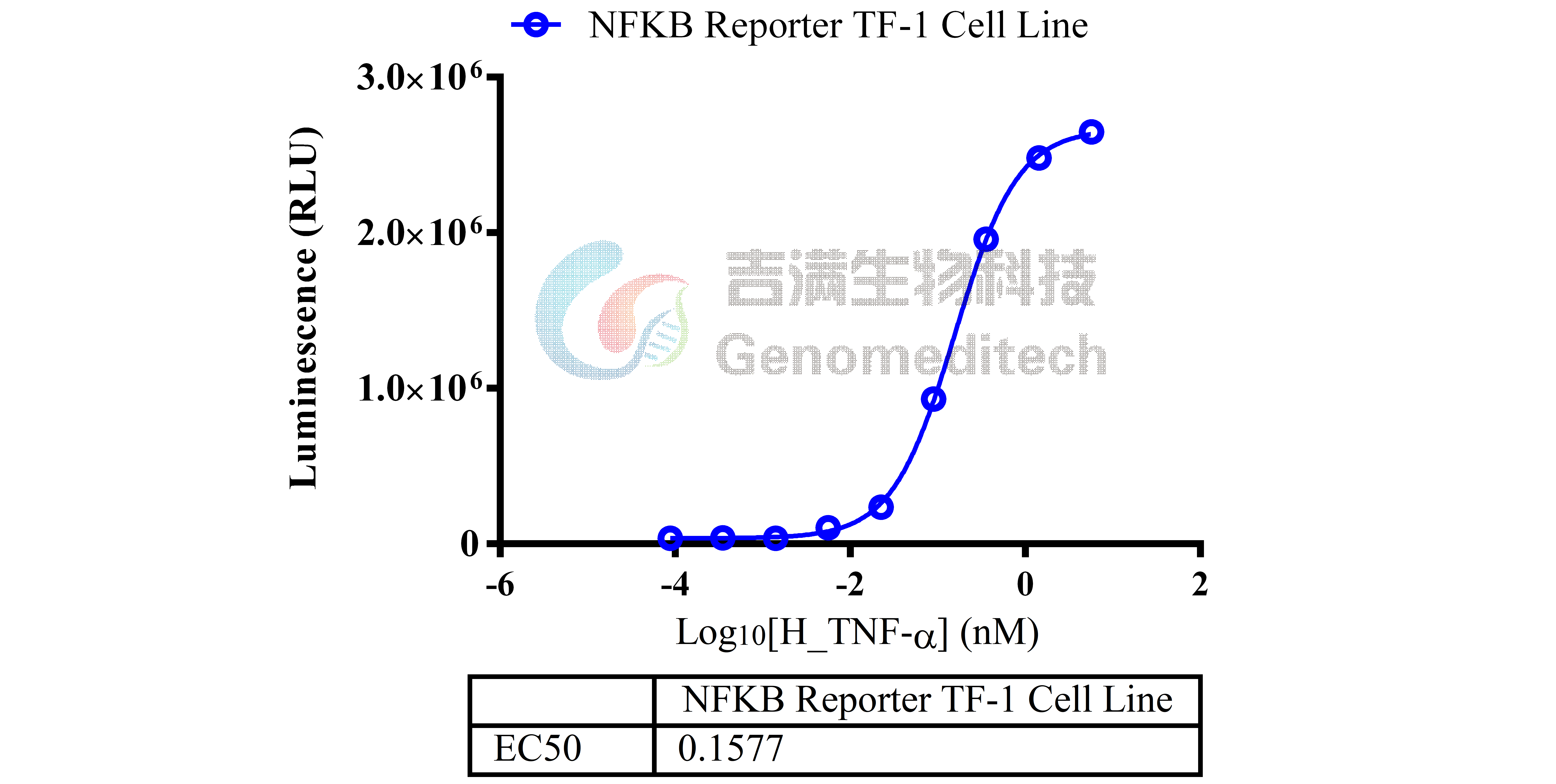NFKB Reporter TF-1 Cell Line