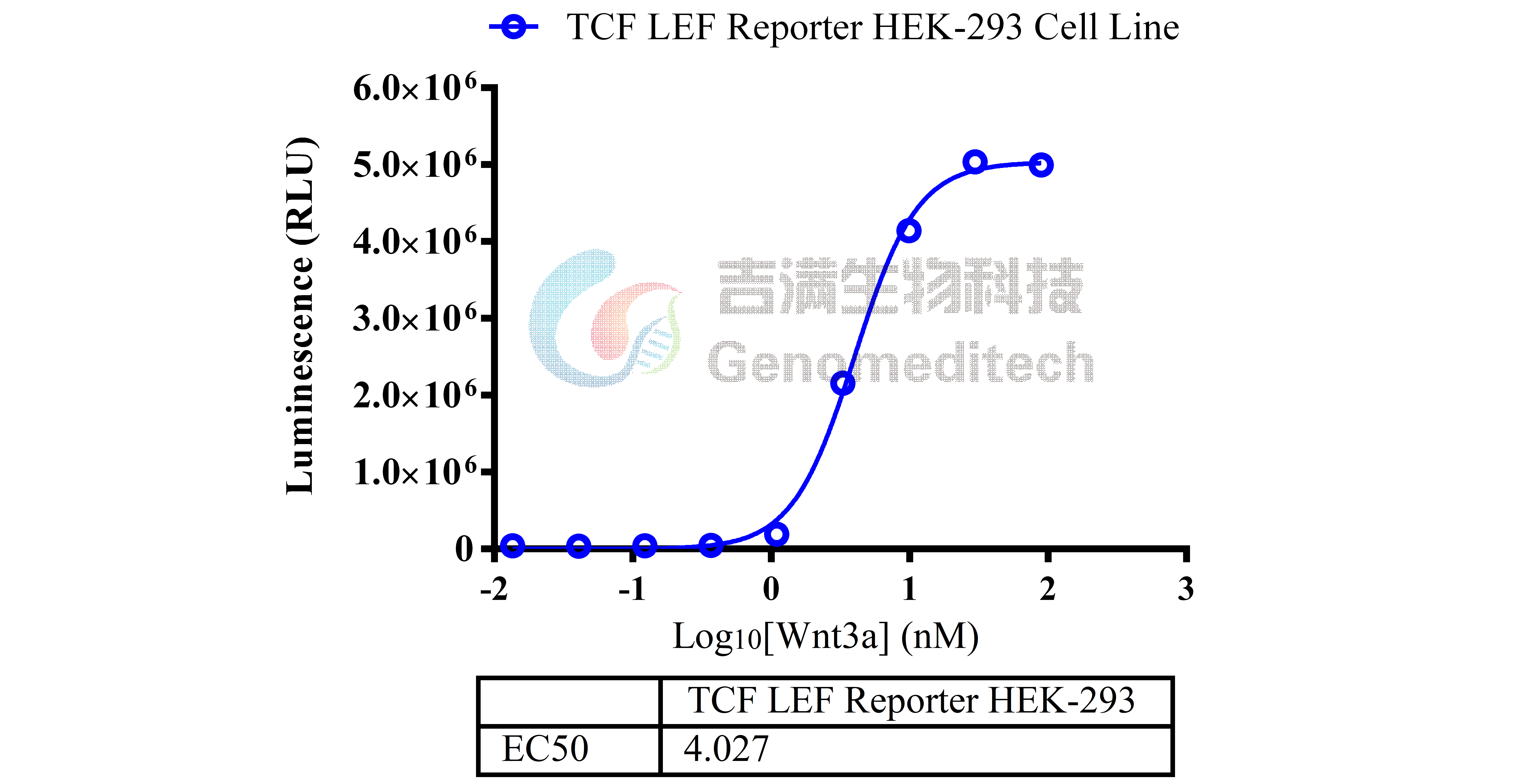TCF LEF Reporter HEK-293 Cell Line