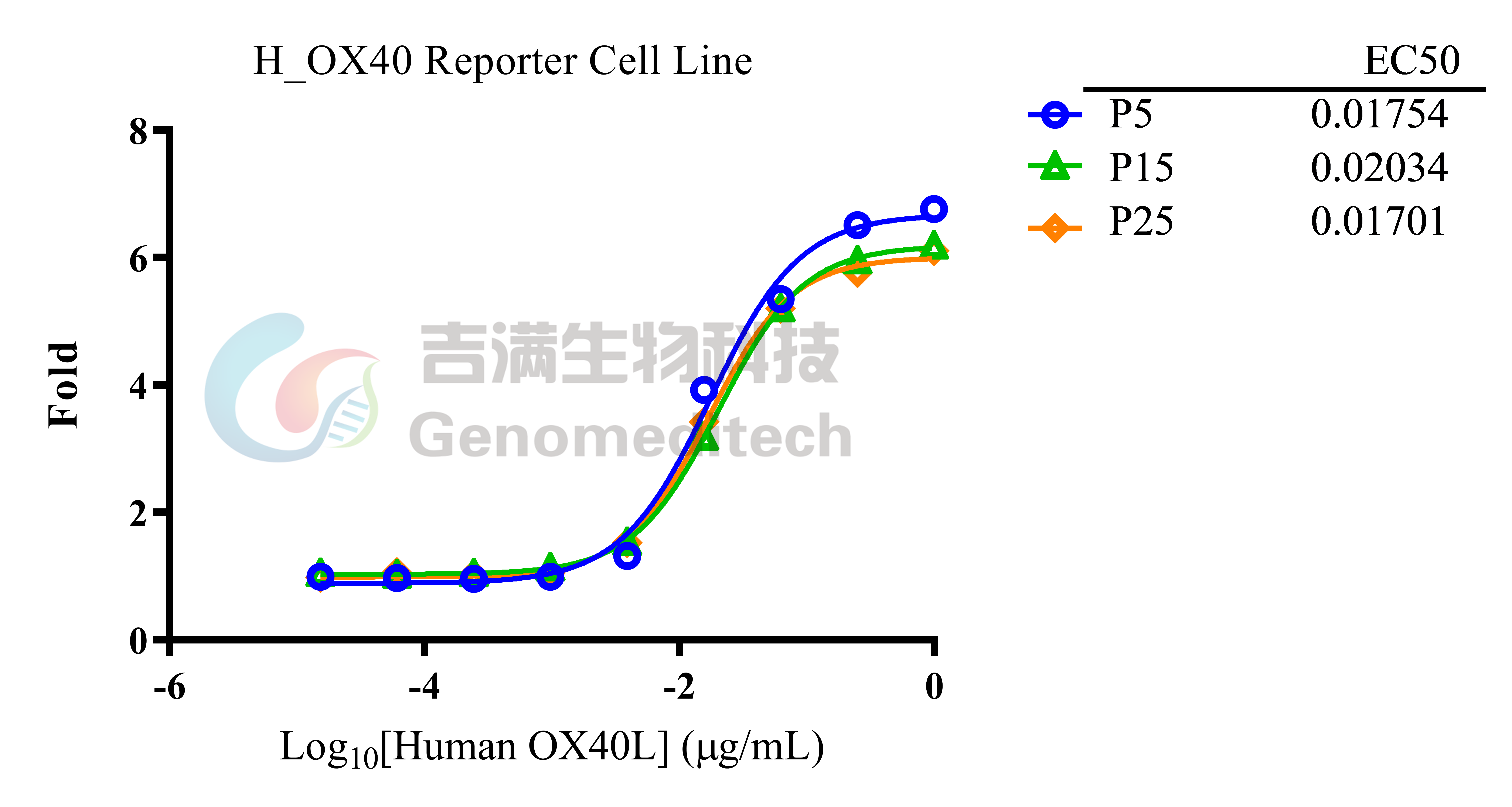 H_OX40 Reporter Cell Line