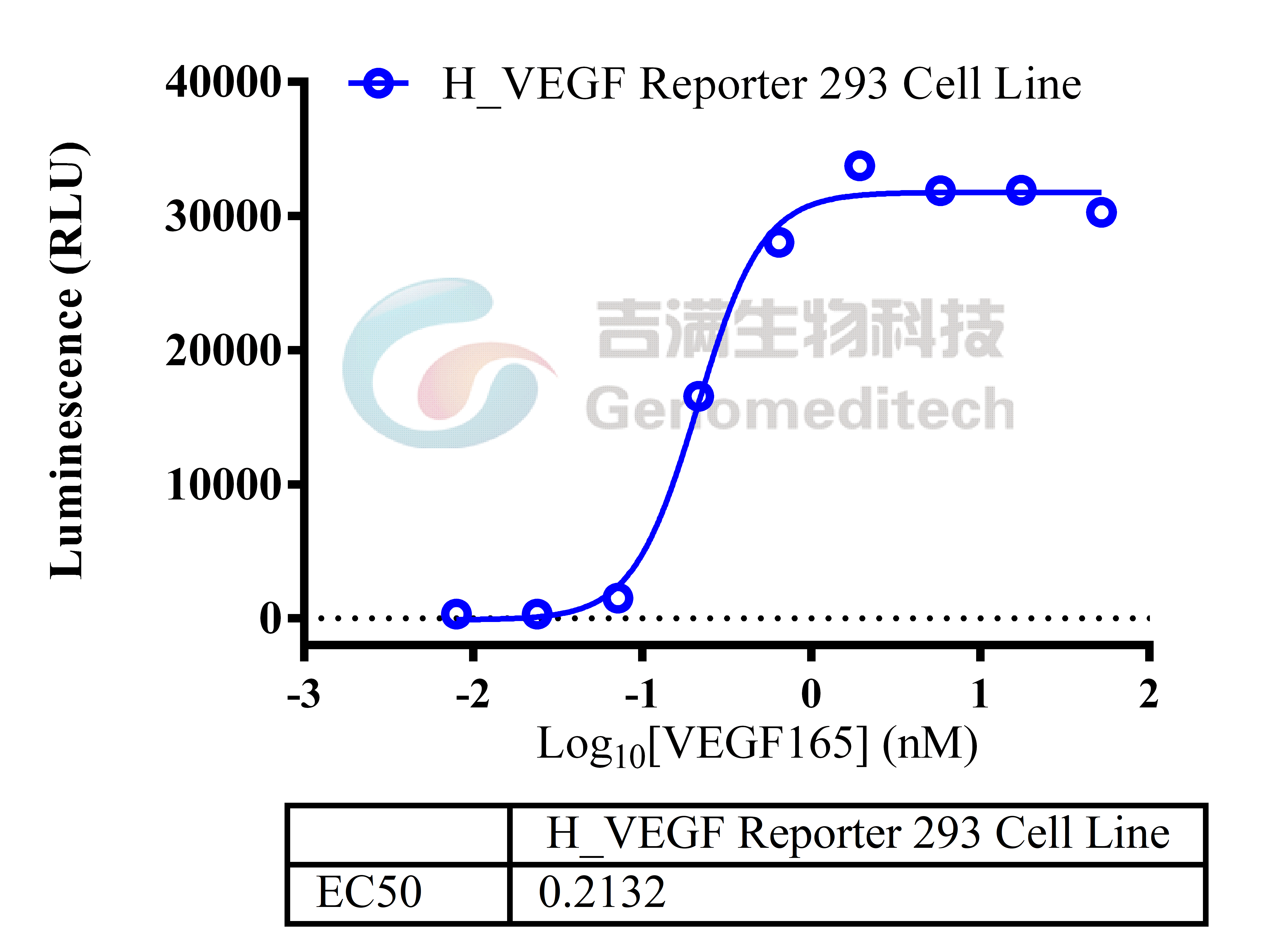 H_VEGF Reporter 293 Cell Line