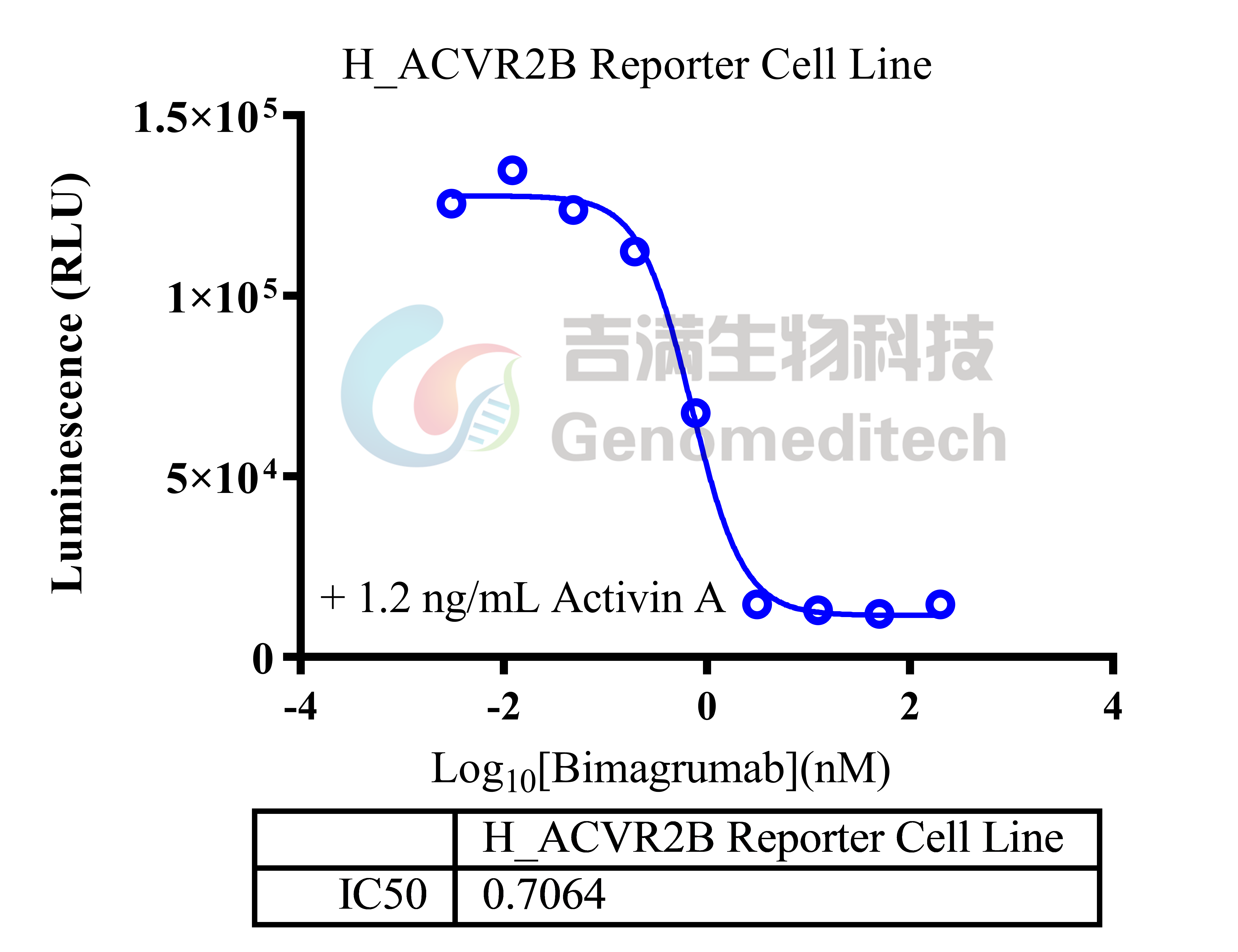H_ACVR2B Reporter Cell Line