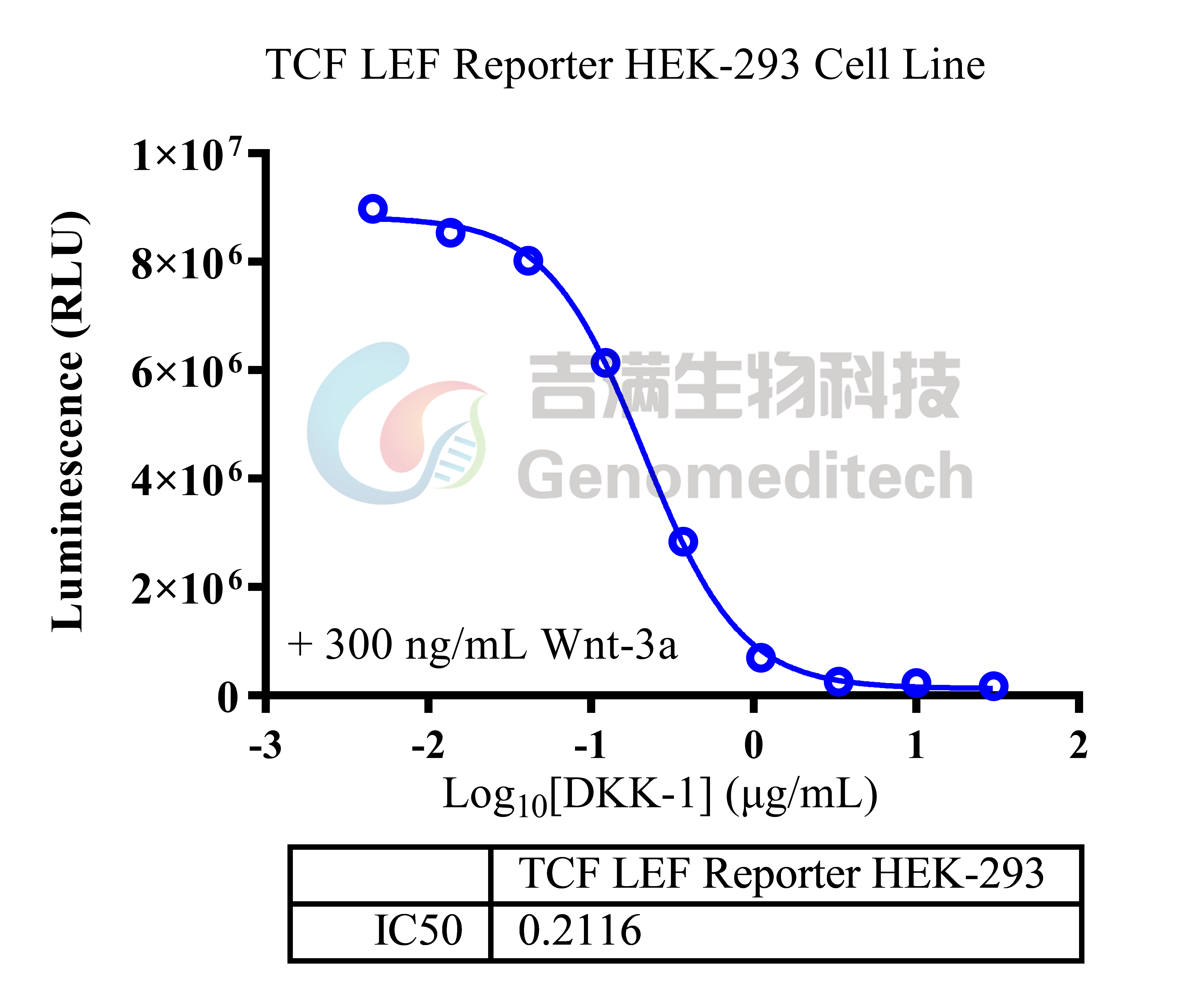 TCF LEF Reporter HEK-293 Cell Line
