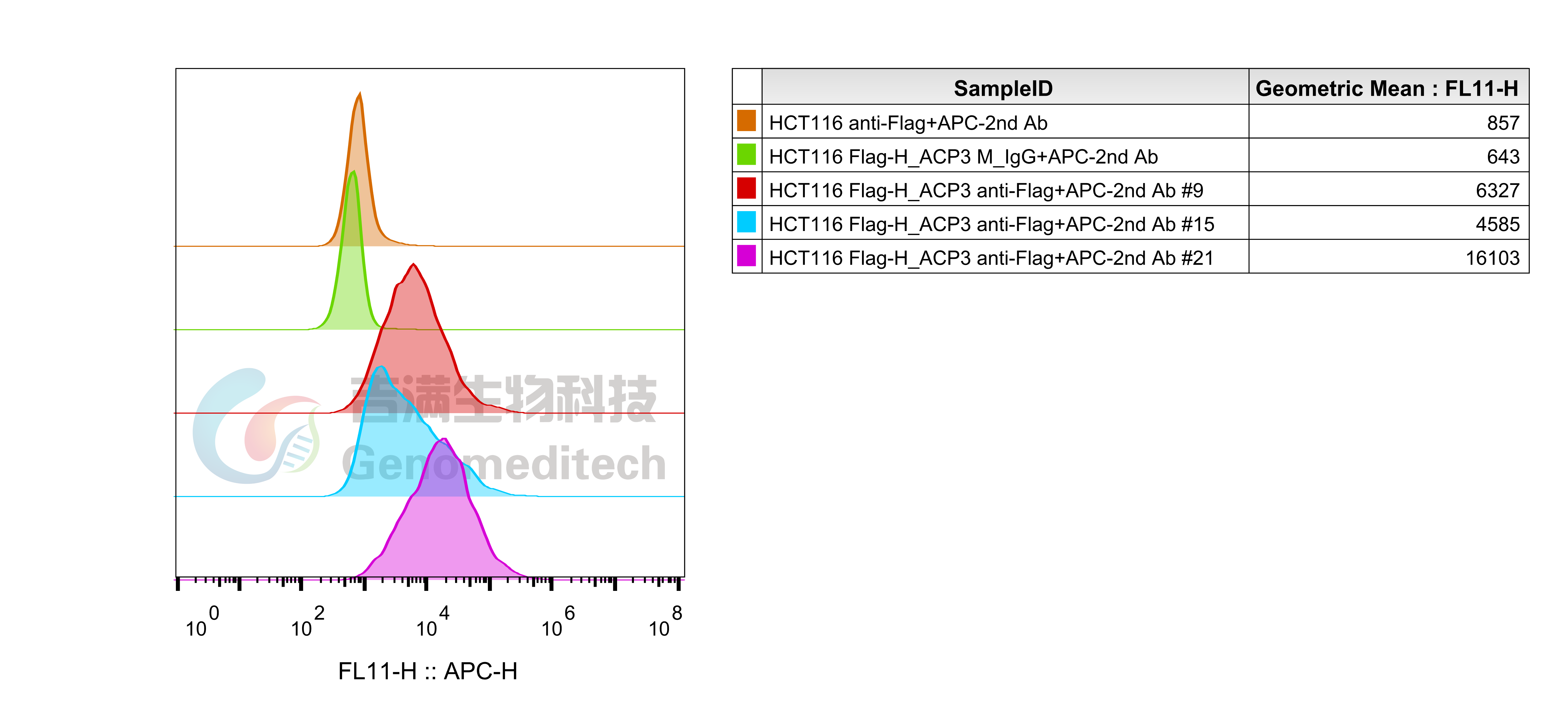 Flag-H_ACP3 HCT116 Cell Line